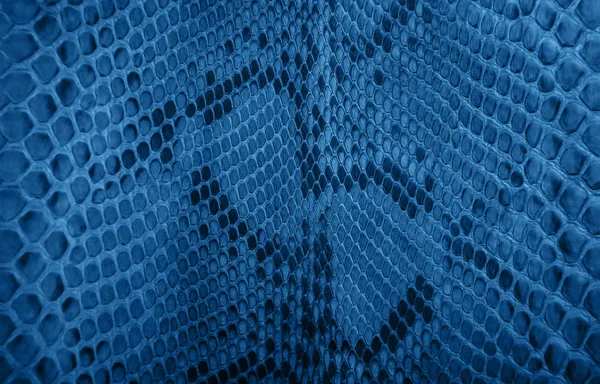 Snake skin pattern — Stock Photo © Almaje #185907642