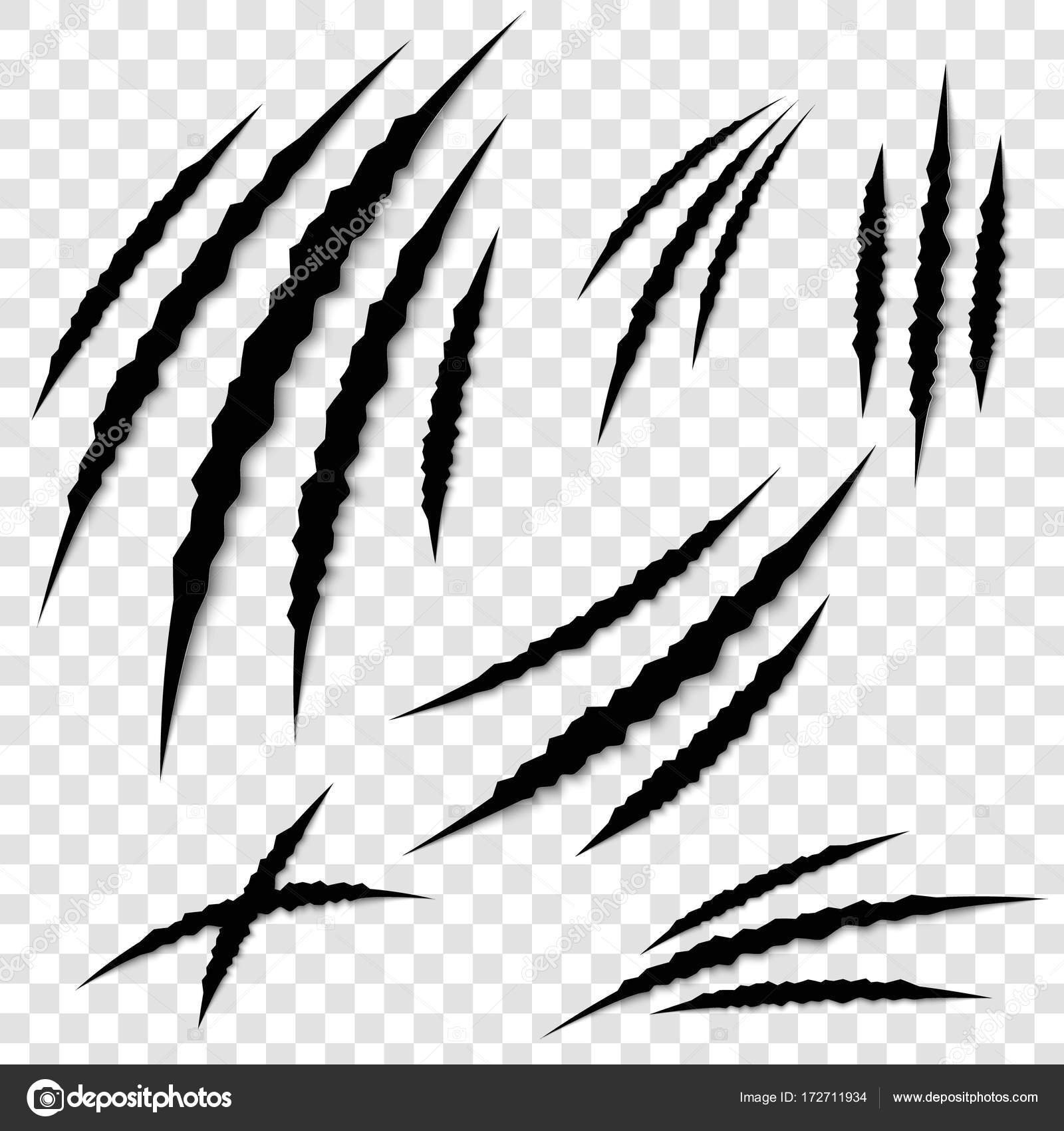 Creative vector illustration of claws paw scratches isolated on ...