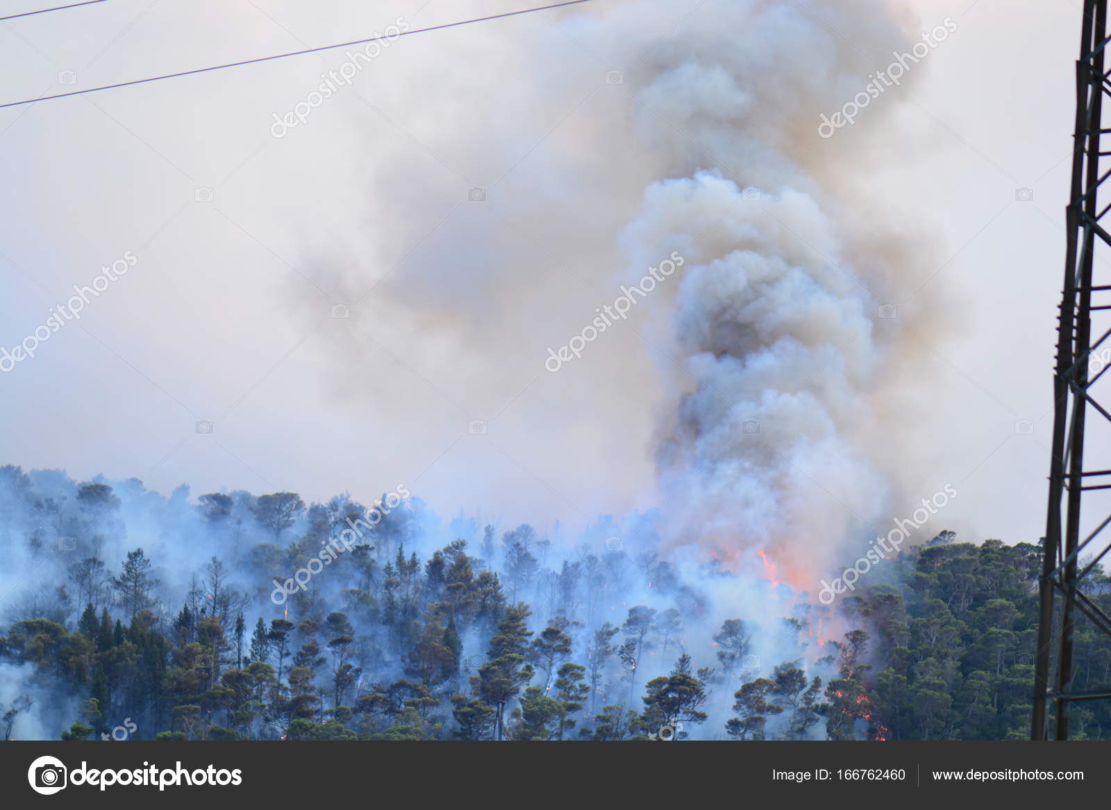 Forest fire. Burned trees after wildfire, pollution and a lot of smoke ...