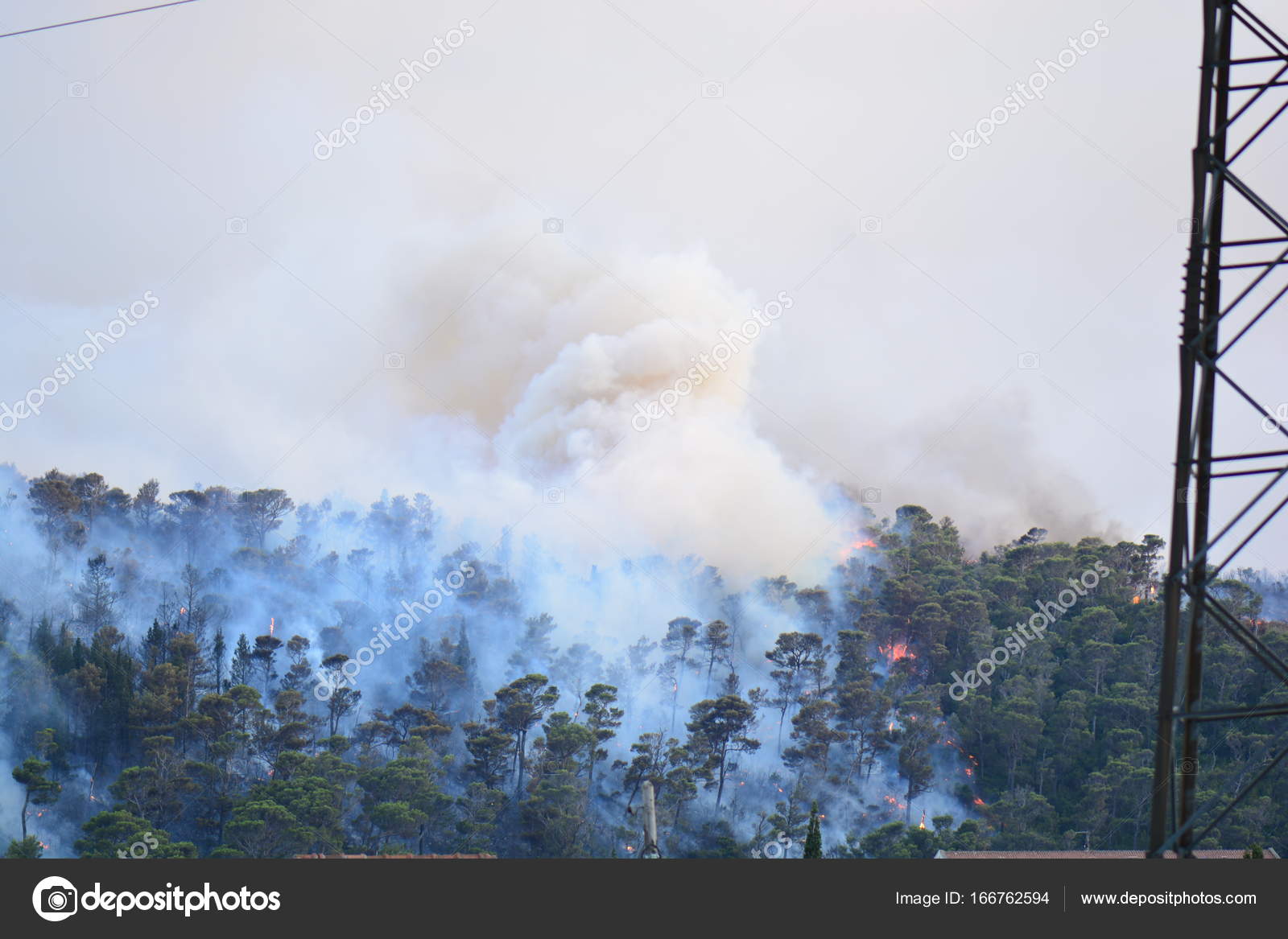 Forest fire. Burned trees after wildfire, pollution and a lot of smoke ...