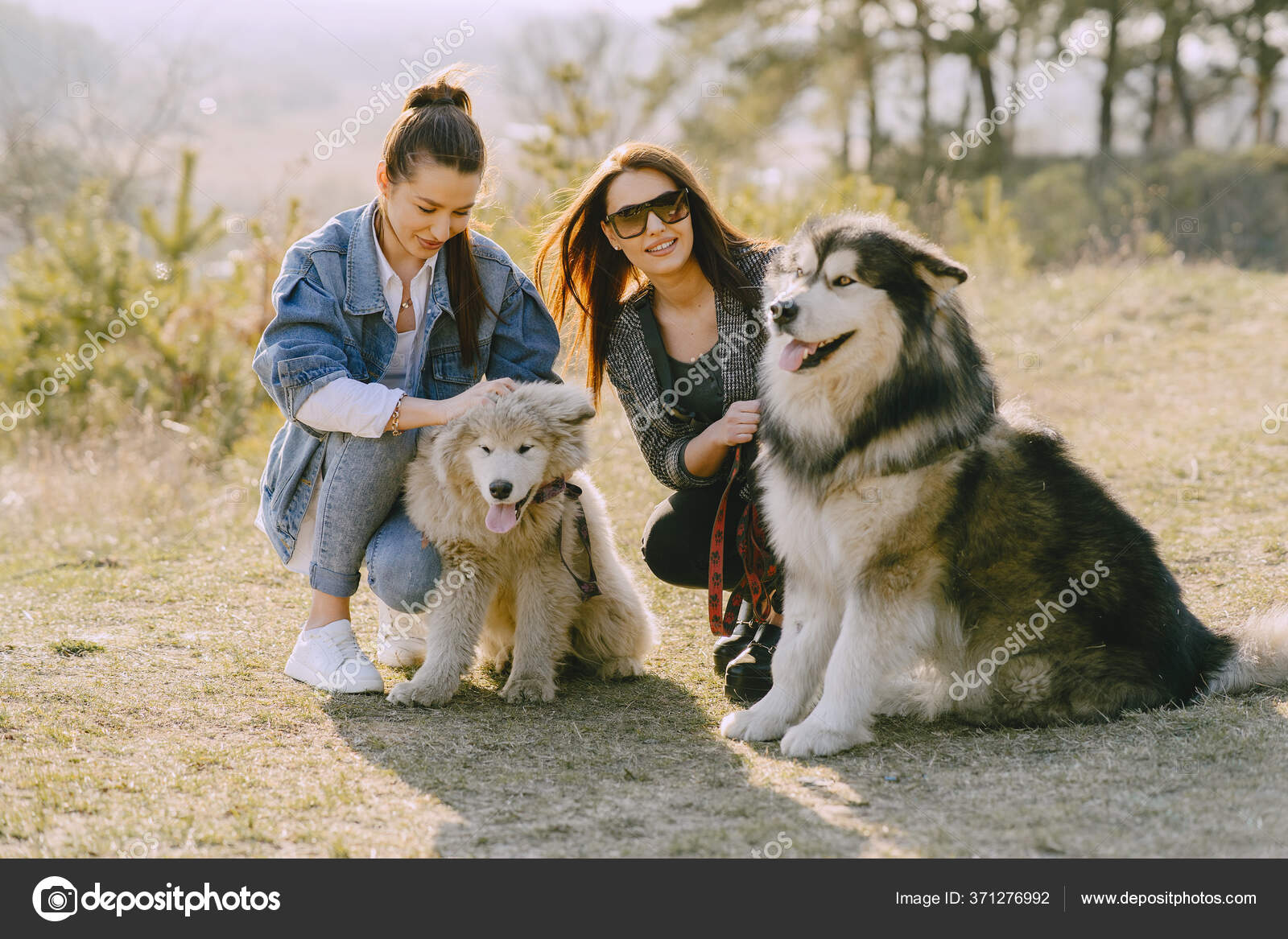 Two stylish girls in a spring field with a dog — Stock Photo ...