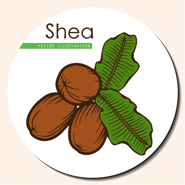 ᐈ Nuts clip art stock images, Royalty Free shea vectors | download on ...