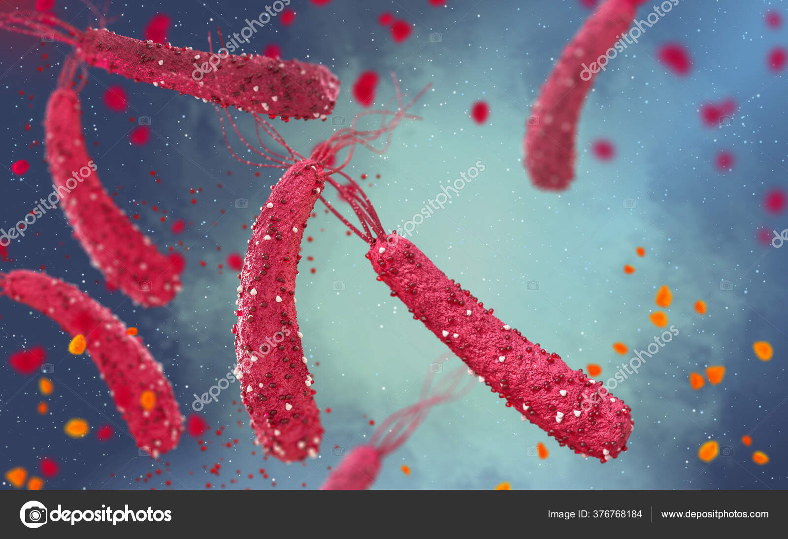 Dangerous Pathogenic Bacteria Helicobacter Pylori Pathogen Stomach ...