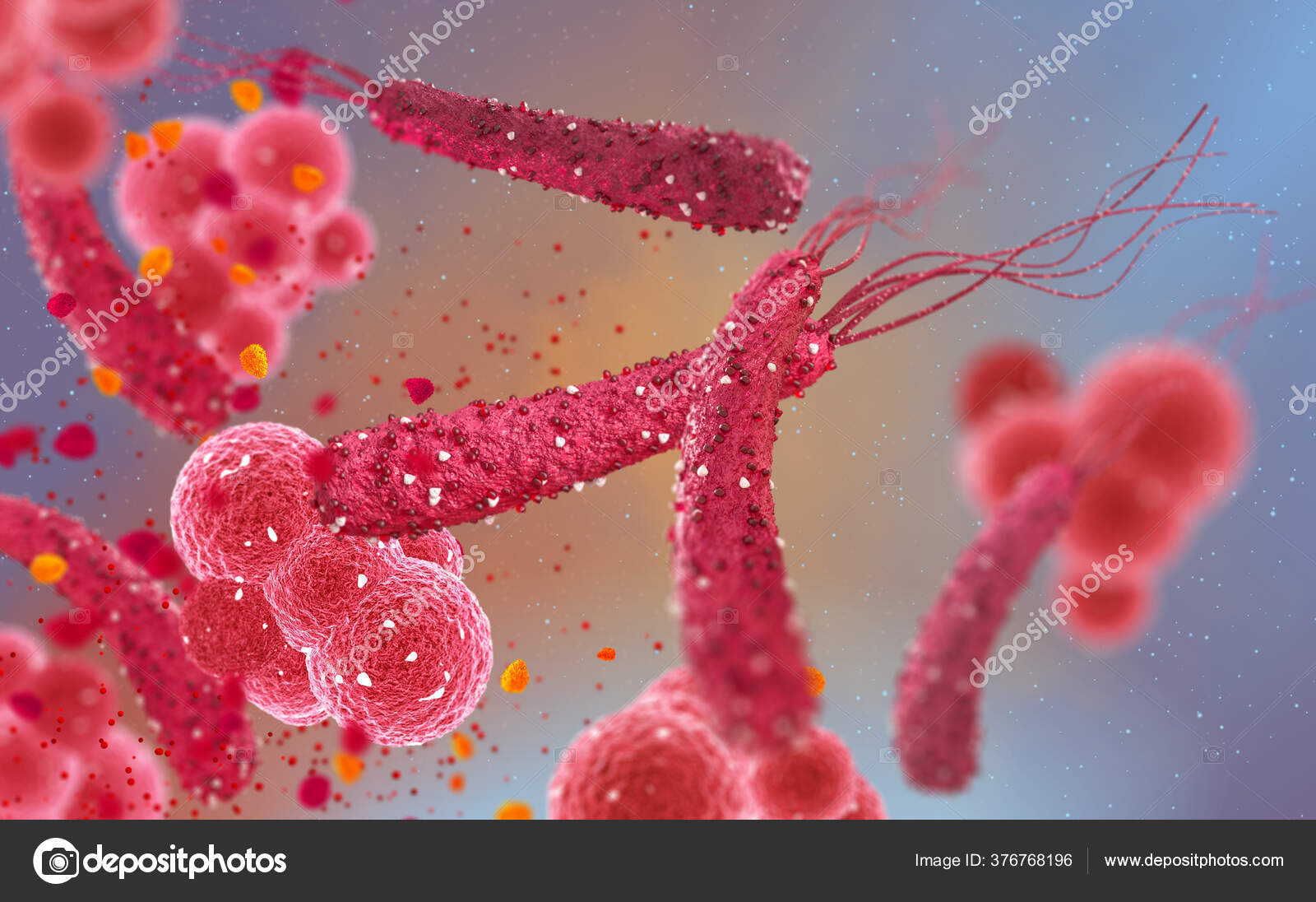 Dangerous Pathogenic Bacteria Helicobacter Pylori Pathogen Stomach ...