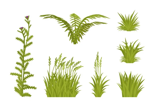 Vector Set of Cartoon Green Grass Silhouettes on White Backround. Stock ...