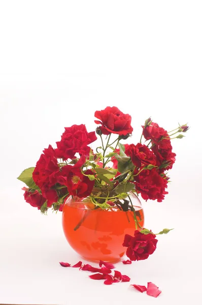 Red roses in vase Stock Photos, Royalty Free Red roses in vase Images ...