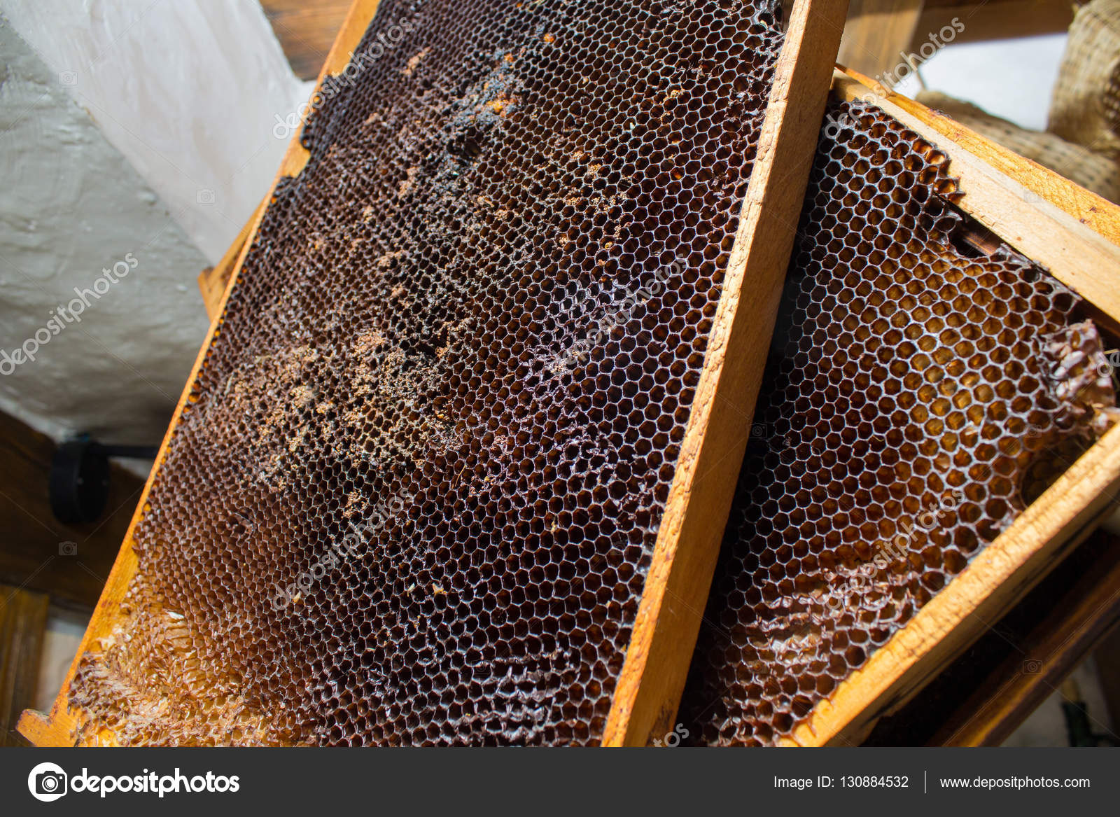 Bee honeycomb frame with honey Stock Photo by ©LaKirr 130884532