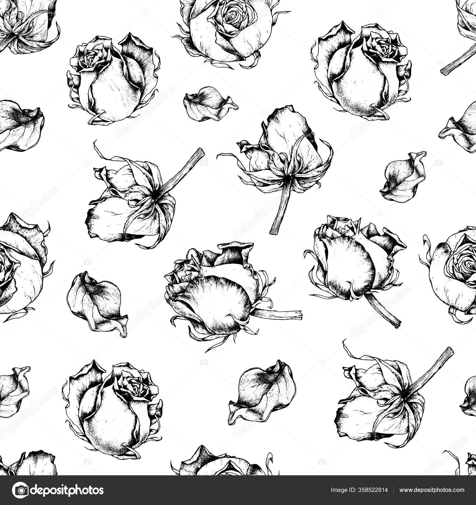 Vector Black Roses Seamless Background Flowers Illustration Front View ...