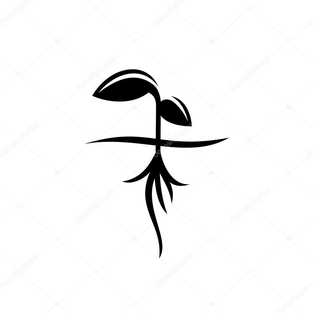 Sprout with roots black silhouette Stock Vector Image by ©Kilroy #125751930