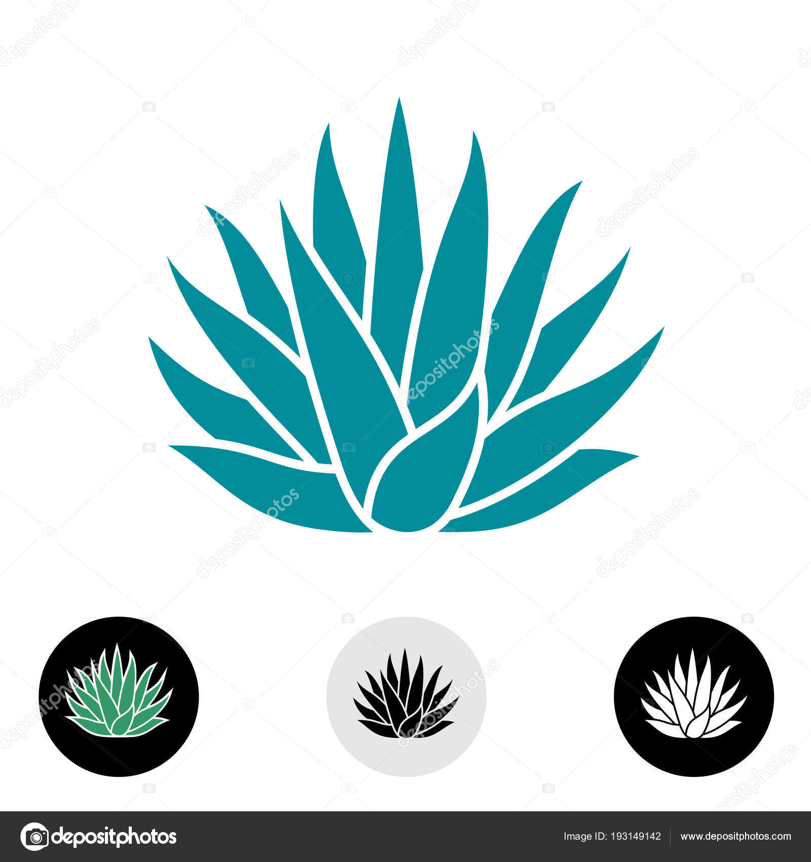Blauwe agave plant vector silhouet. vectorafbeelding door © Kilroy ⬇ ...