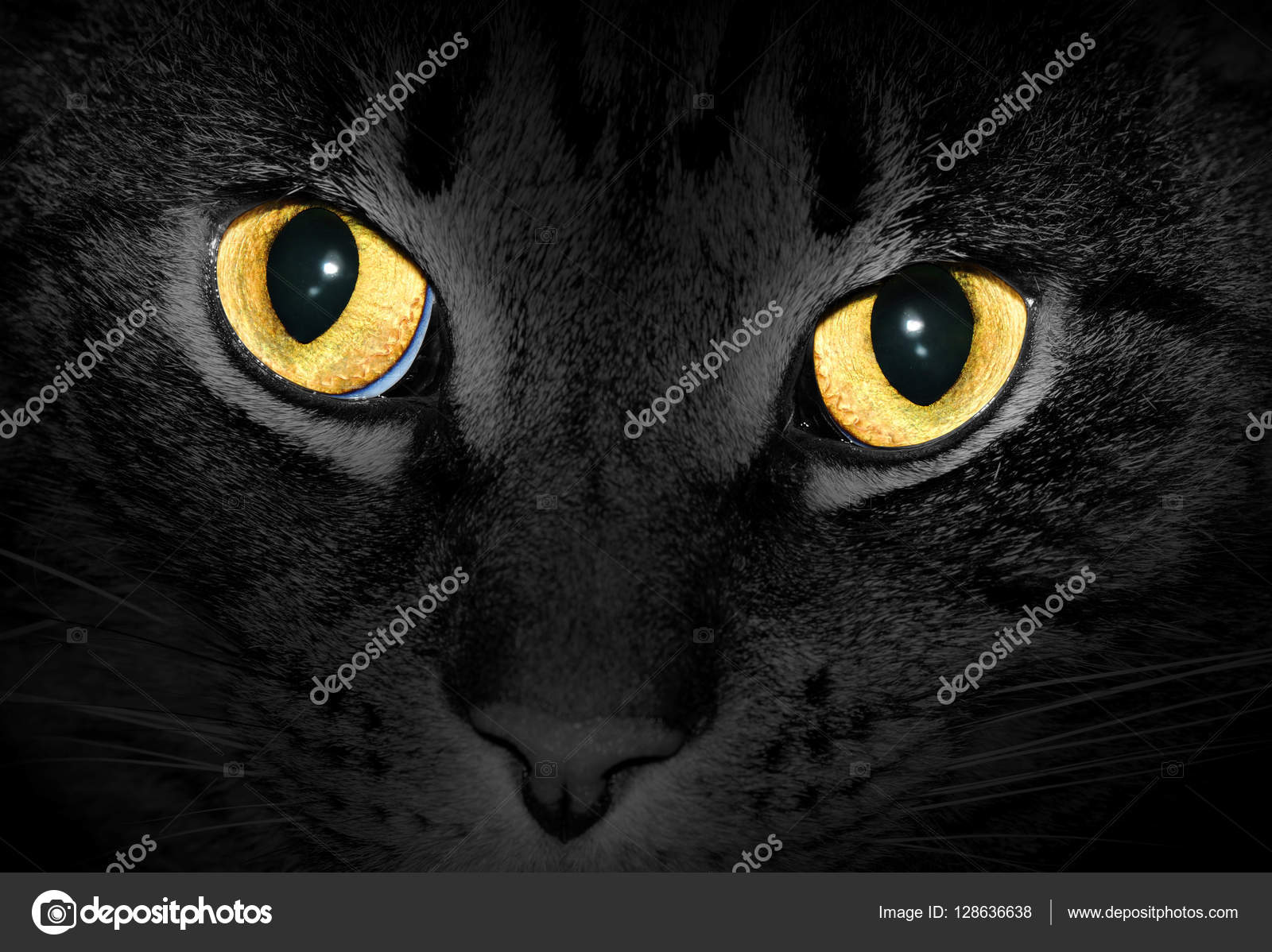 Yellow Glowing Eyes
