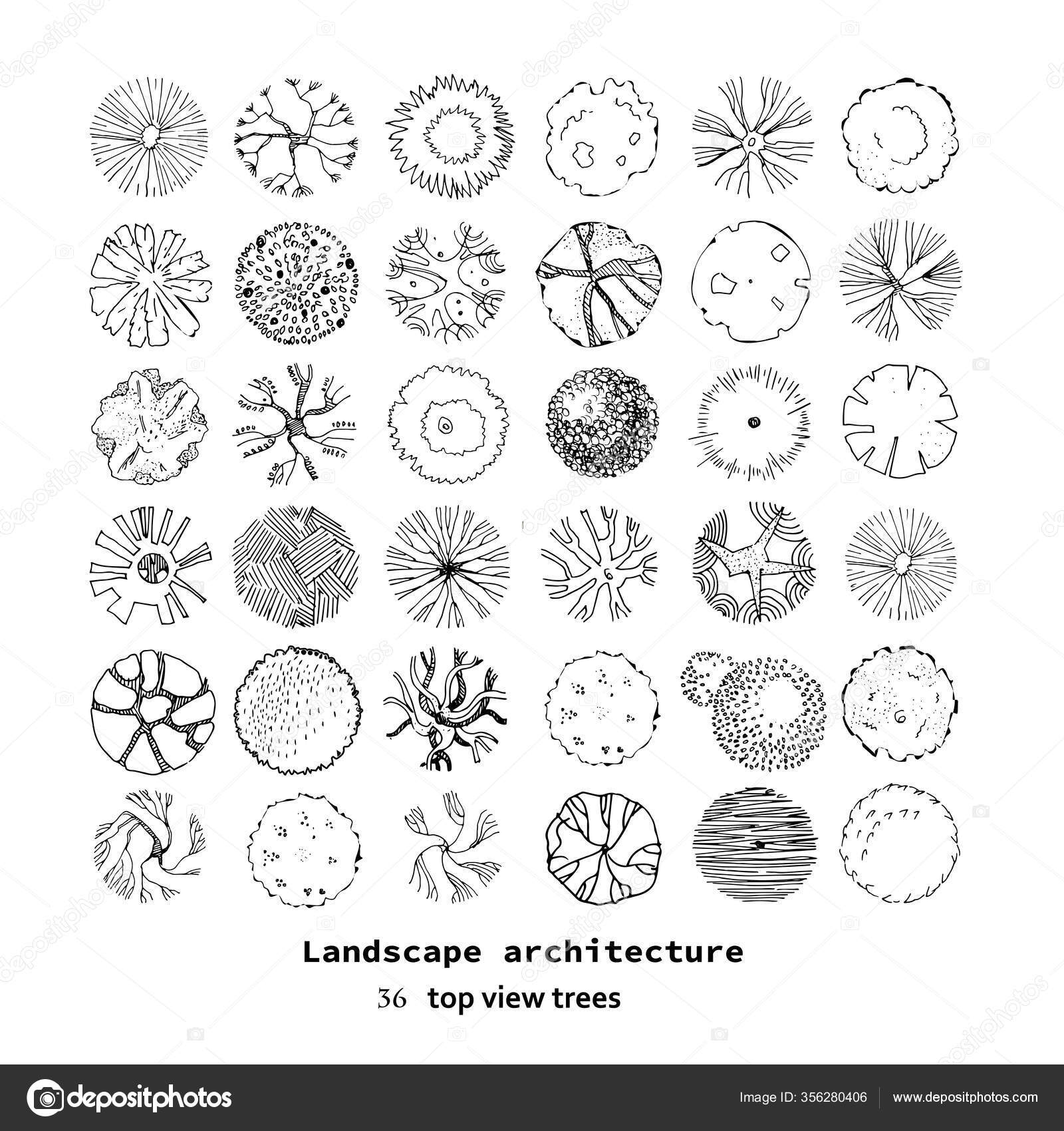 Top view big vector set of different trees.Hand drawn illustration for ...