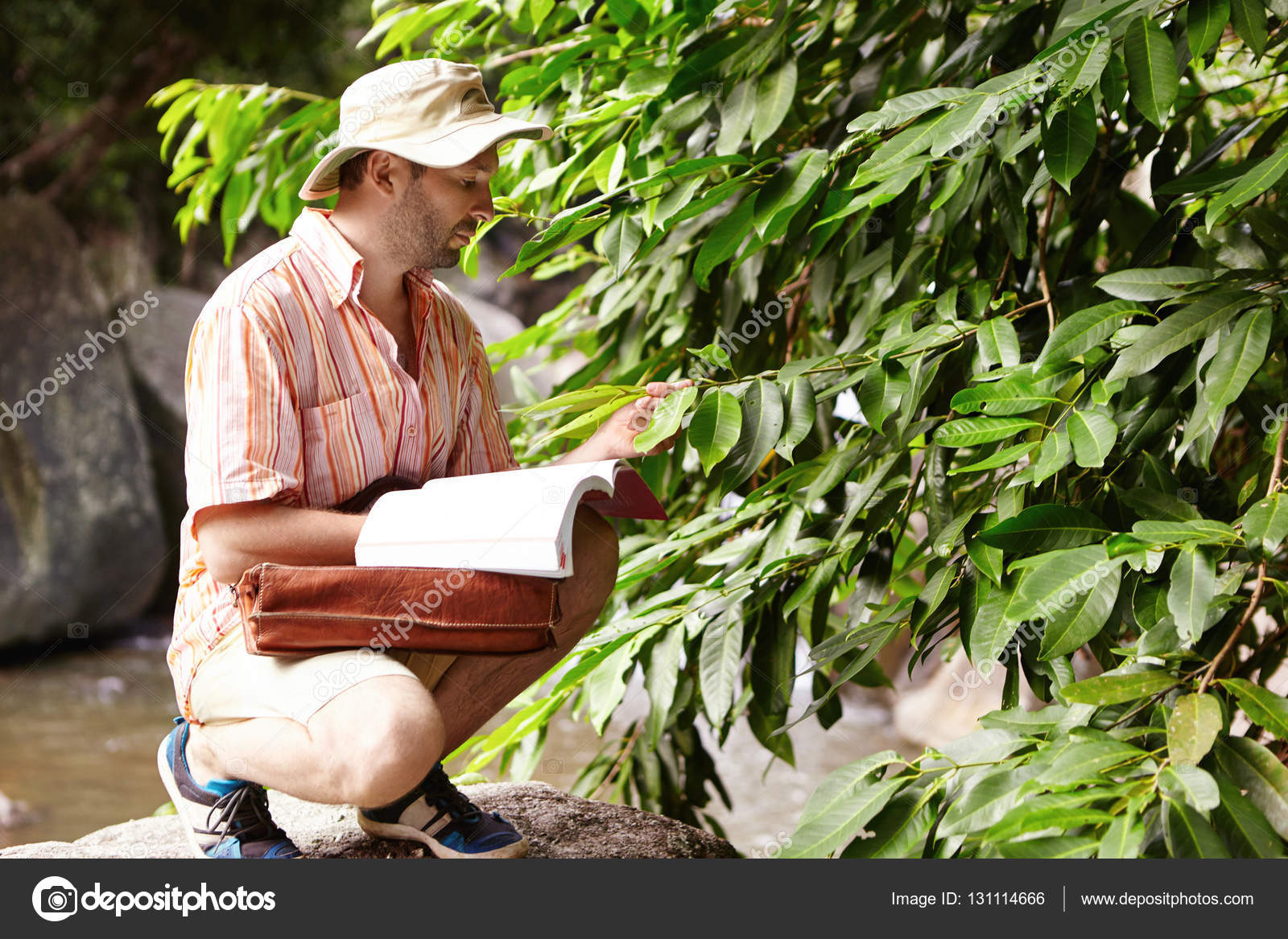 ecologist examining leaves — Stock Photo © avemario #131114666