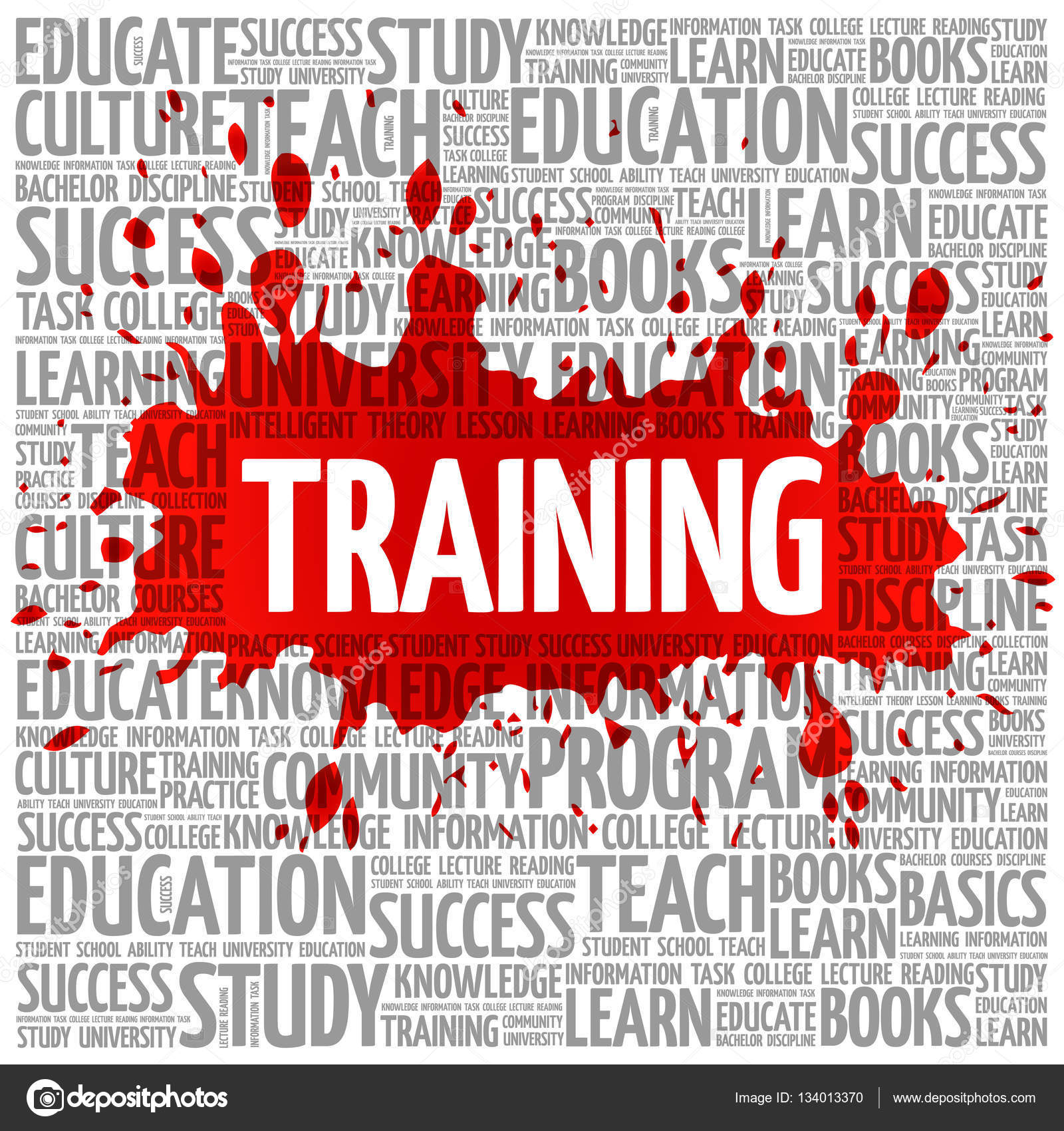 Training Word Cloud Education Concept Stock Vector By ©dizanna 134013370