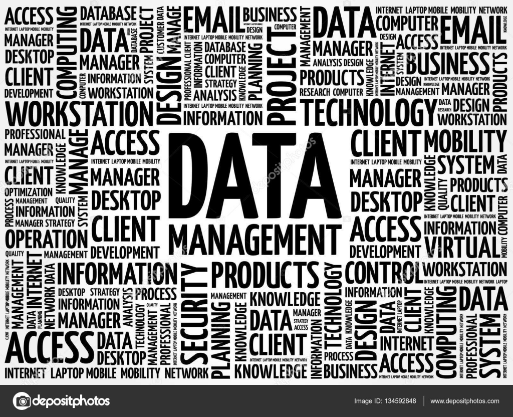 Data Management word cloud Stock Vector by ©dizanna 134592848