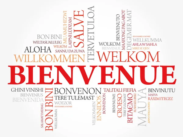 WELCOME word cloud in different languages — Stock Vector © dizanna ...