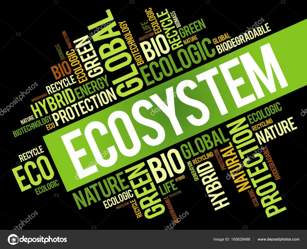 Ecosystem word cloud Stock Vector by ©dizanna 165628488