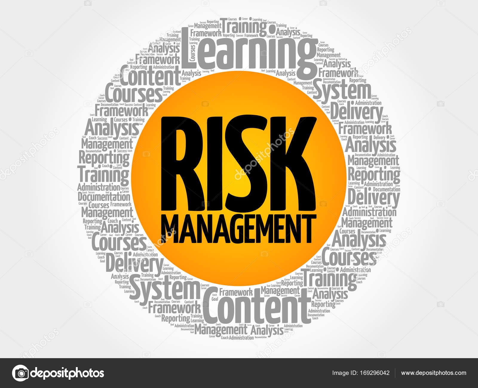 Risk Management circle Stock Vector Image by ©dizanna #169296042
