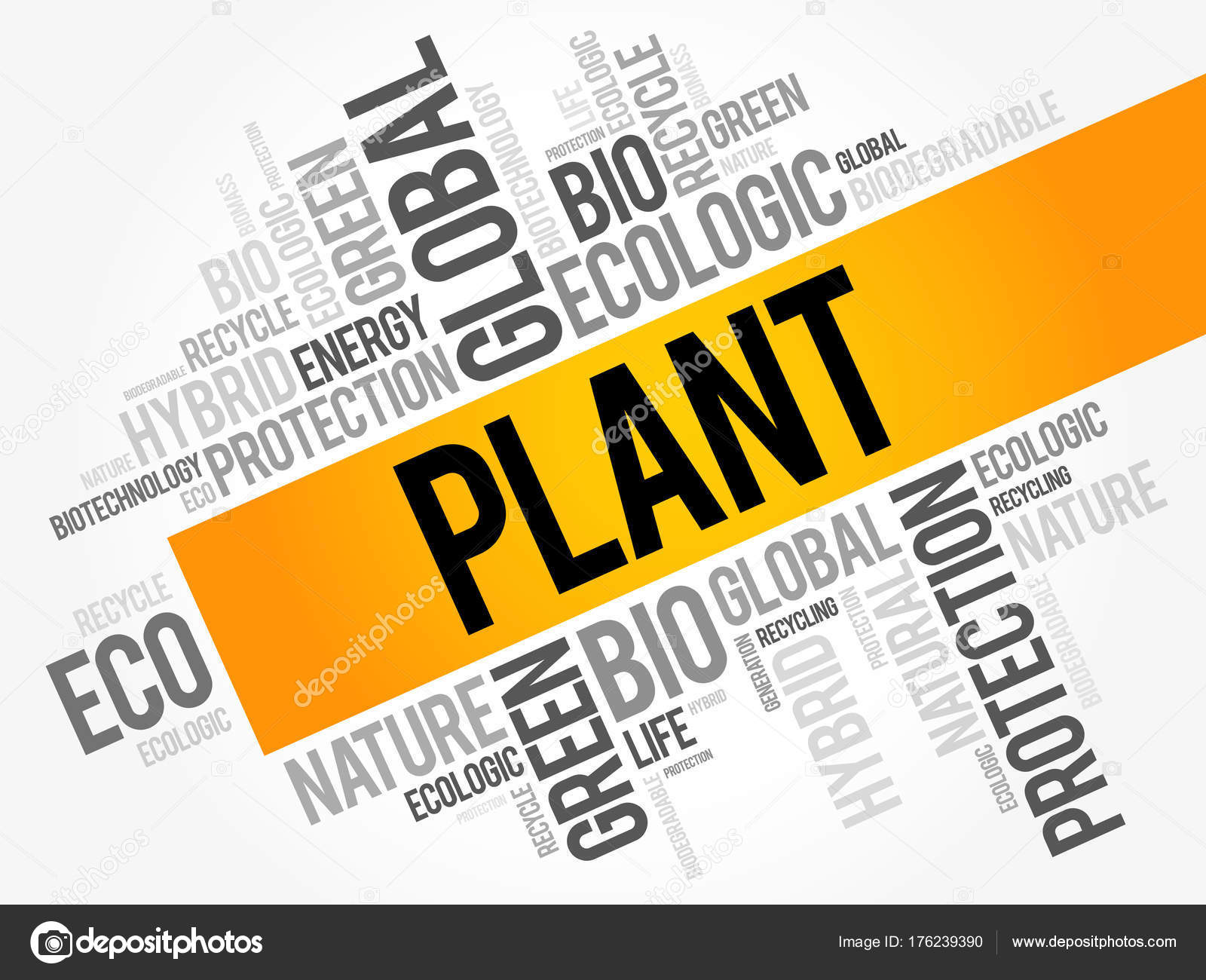 Plant word cloud Stock Vector Image by ©dizanna #176239390