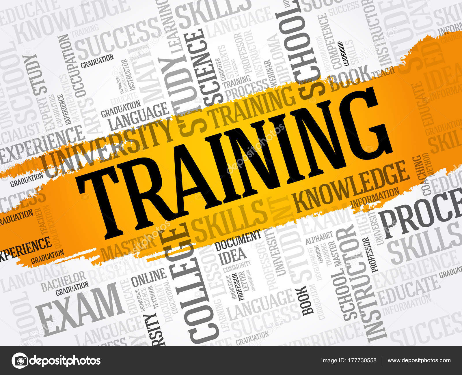 TRAINING word cloud collage Stock Vector Image by ©dizanna #177730558
