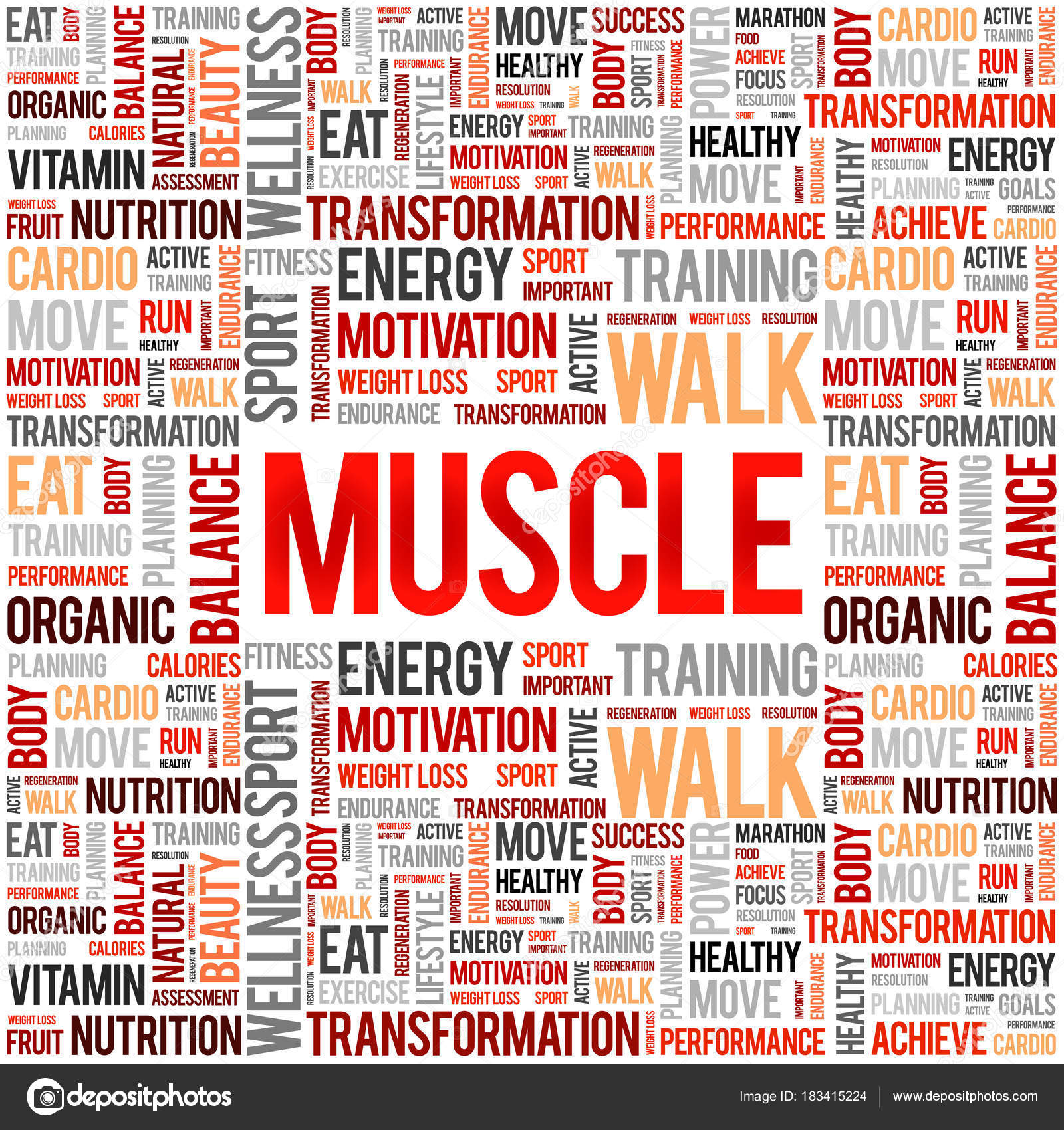 Muscle word cloud Stock Vector Image by ©dizanna #183415224