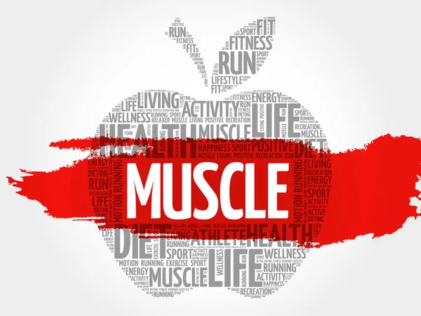Muscle word cloud background Stock Vector by ©dizanna 133407628
