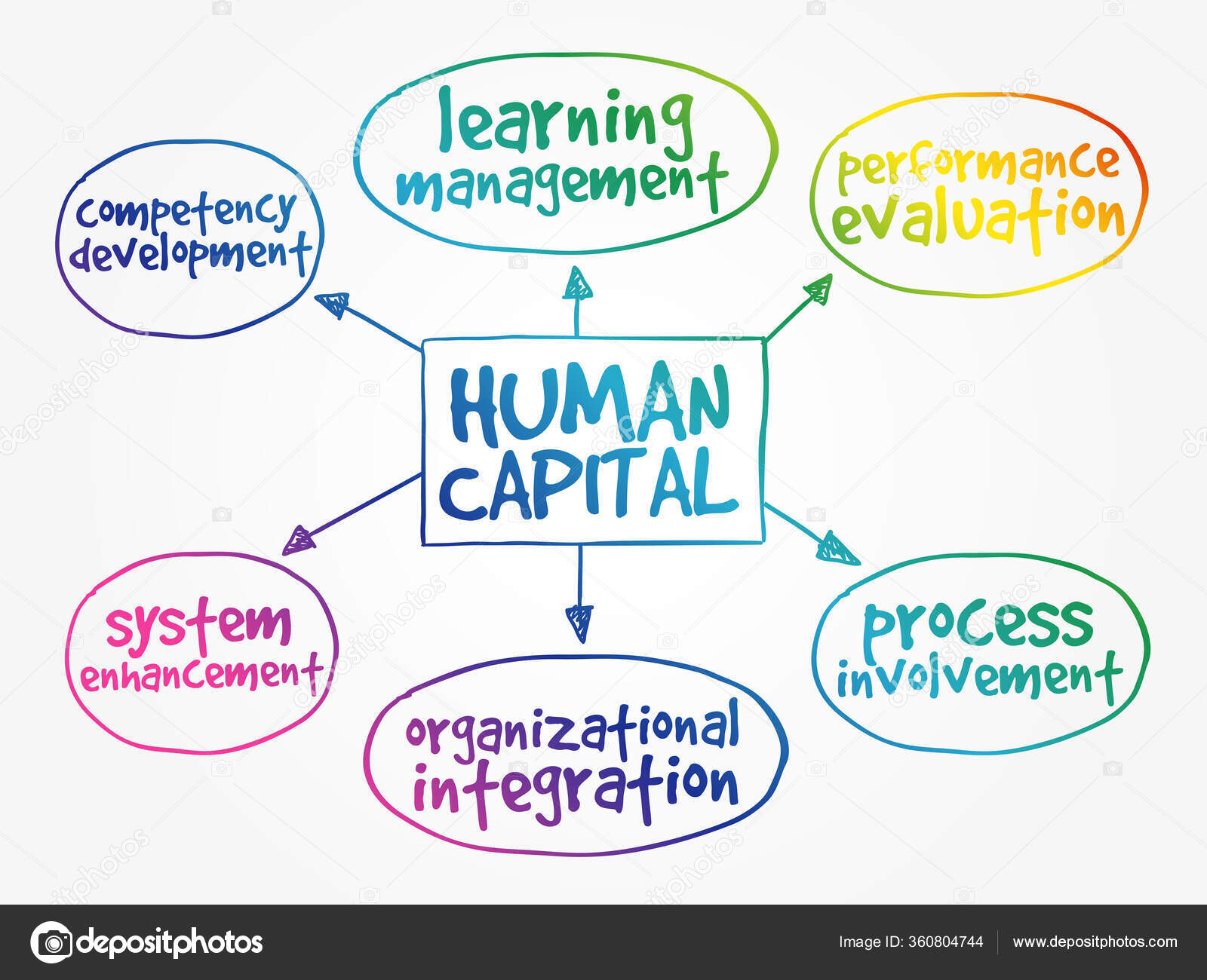 What Are The Types Of Human Capital at Ina Peterson blog
