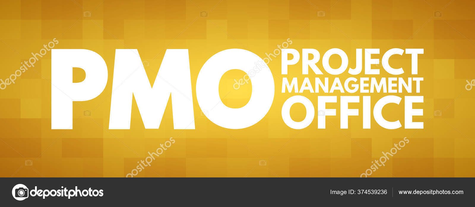 Project Management Office Banner