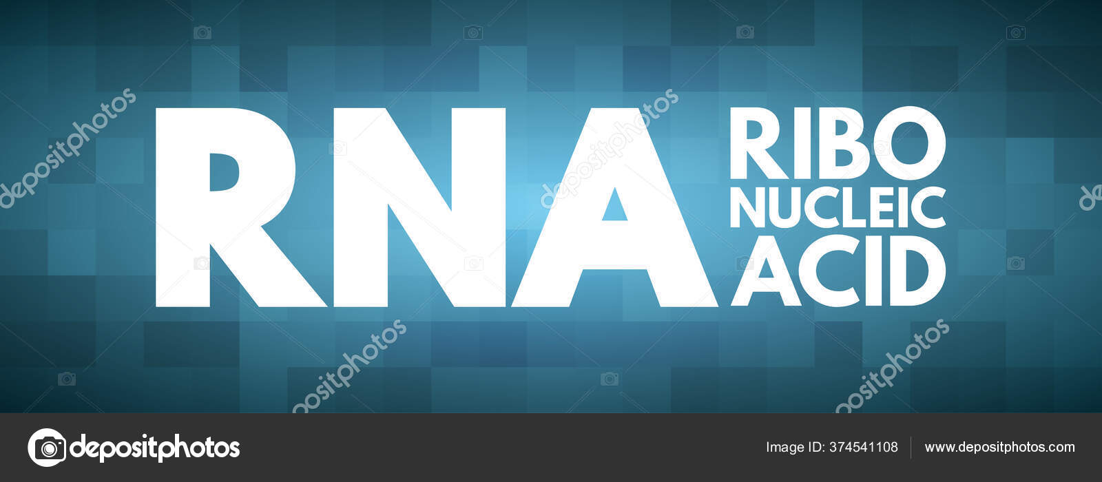 Rna Ribonucleic Acid Acronym Medical Concept Background Stock Vector ...