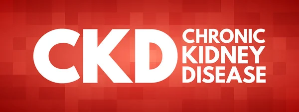 Ckd Chronic Kidney Disease Acronym Medical Concept Background Stock ...