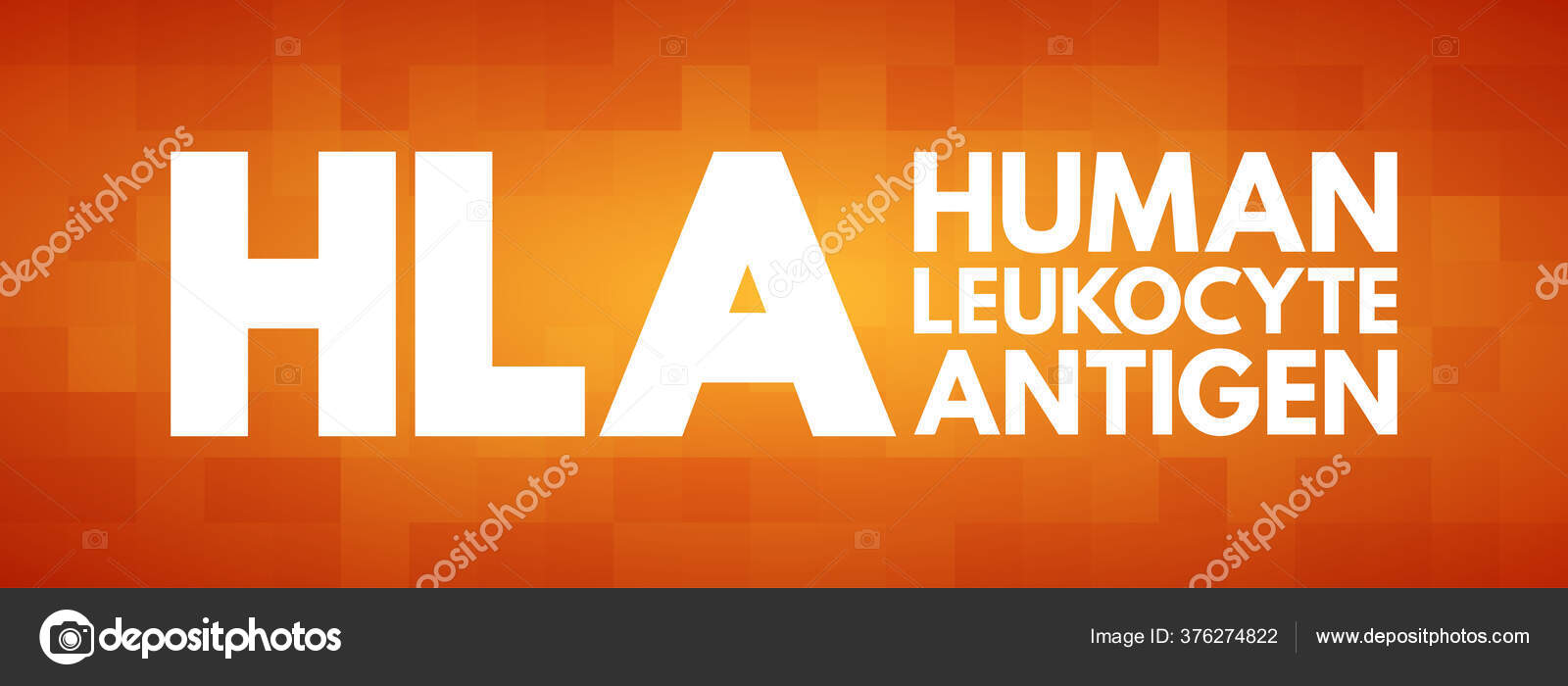 Hla Human Leukocyte Antigen Acronym Medical Concept Background Stock ...