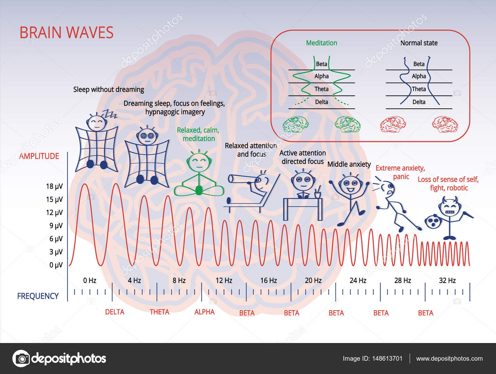 Electromagnetic spectrum of a brain infographic Stock Vector by ©Polina ...