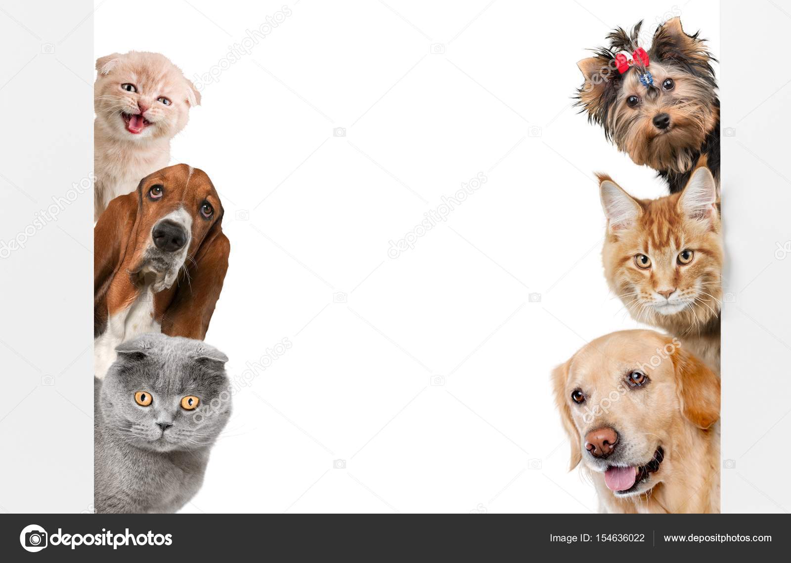 Divers chats et chiens image libre de droit par billiondigital © #154636022