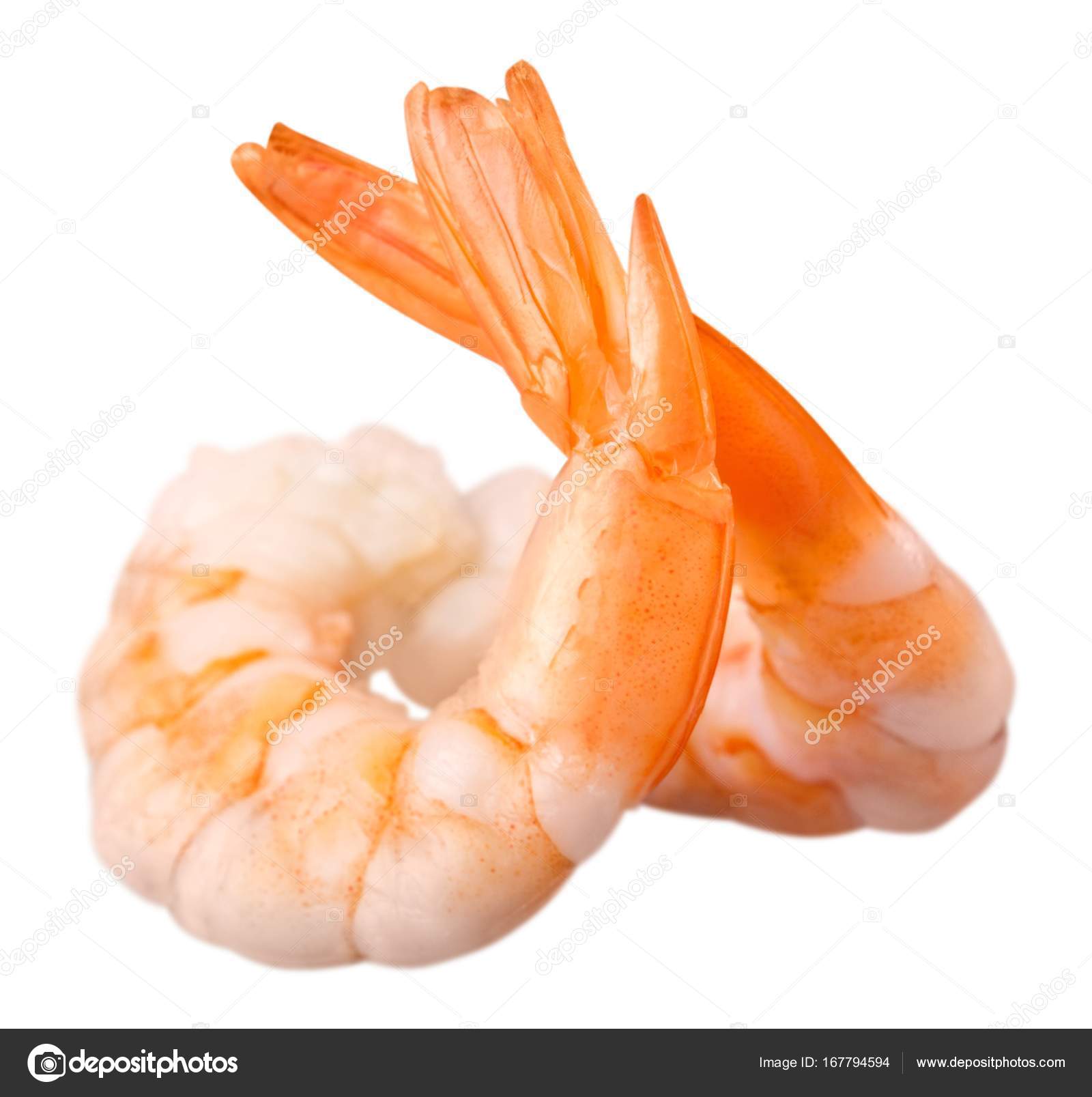 Large White Shrimp Pictures