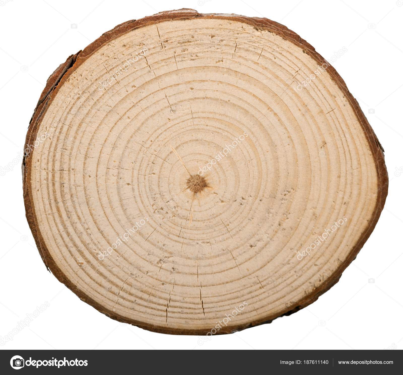 Round cut of tree Stock Photo by ©billiondigital 187611140