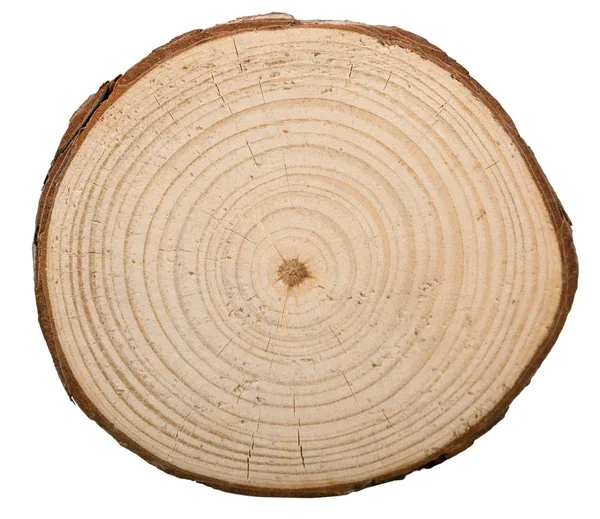 Round cut of tree ⬇ Stock Photo, Image by © billiondigital #187611118