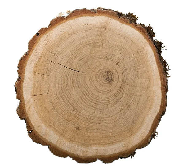 Round cut of tree ⬇ Stock Photo, Image by © billiondigital #187611118
