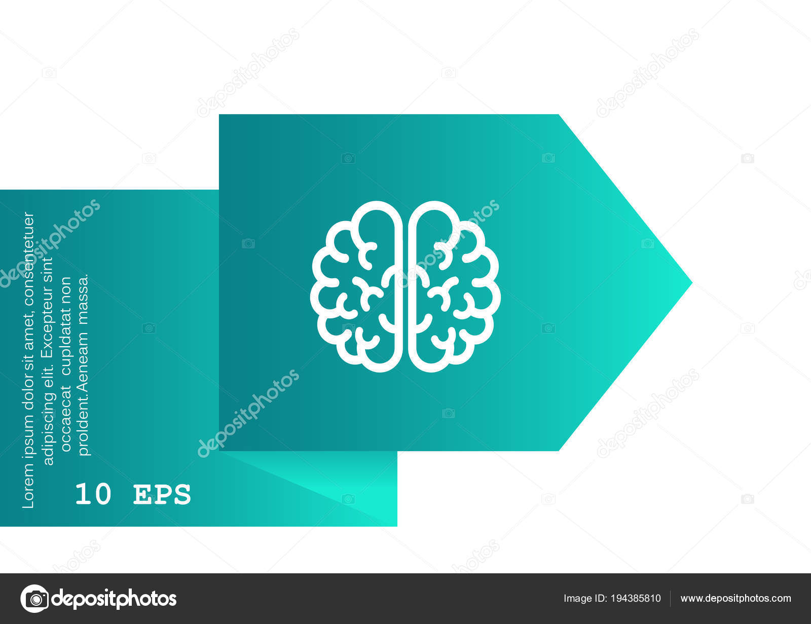 Human brain web icon Stock Vector by ©LovArt 194385810