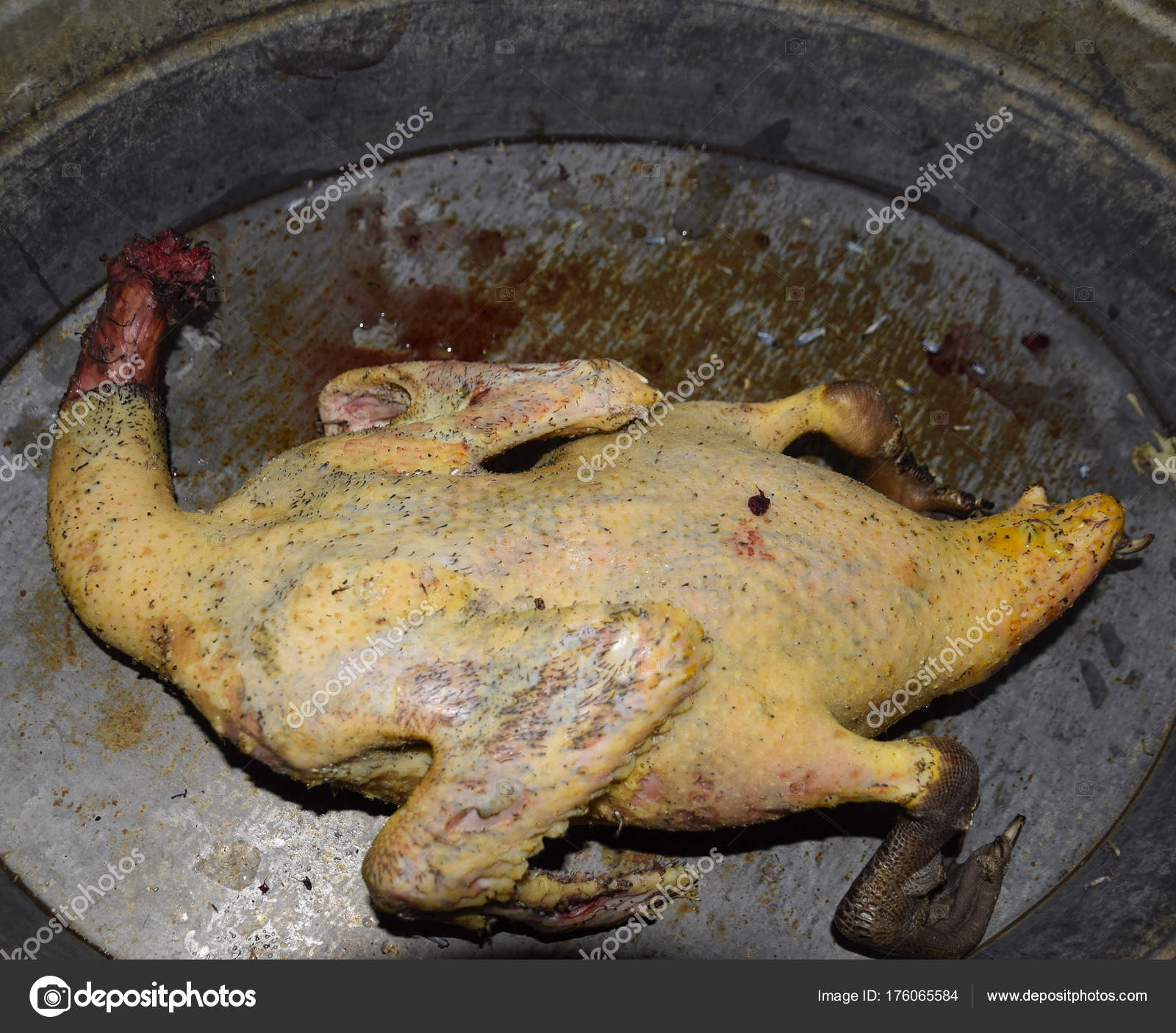 Cutting Carcass Musk Duck Poultry Meat Muscovy Duck Cutting Bird ...