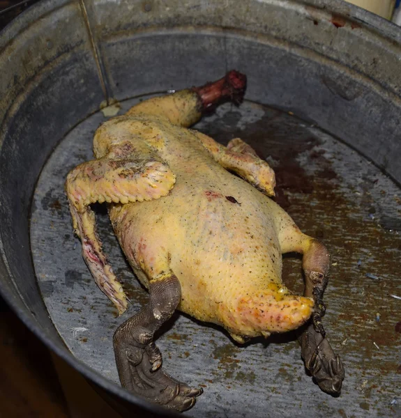 Pollo muerto fotos de stock, imágenes de Pollo muerto sin royalties ...