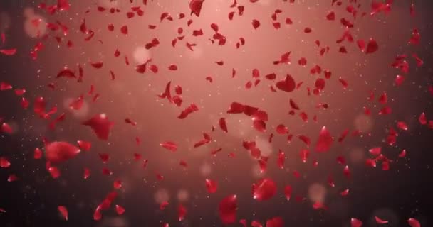 Dark Red Rose Petals Falling