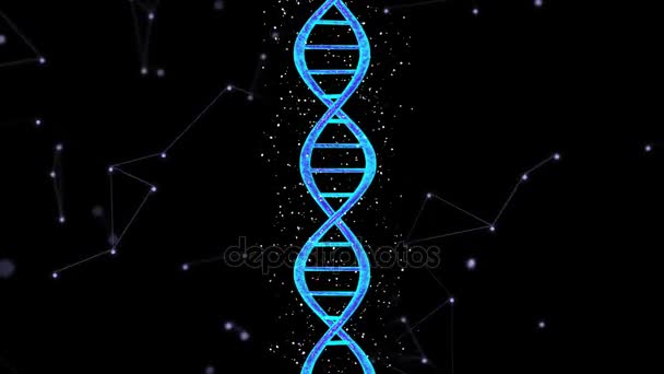 Animated DNA chain — Stock Video © SibFilm #138698198