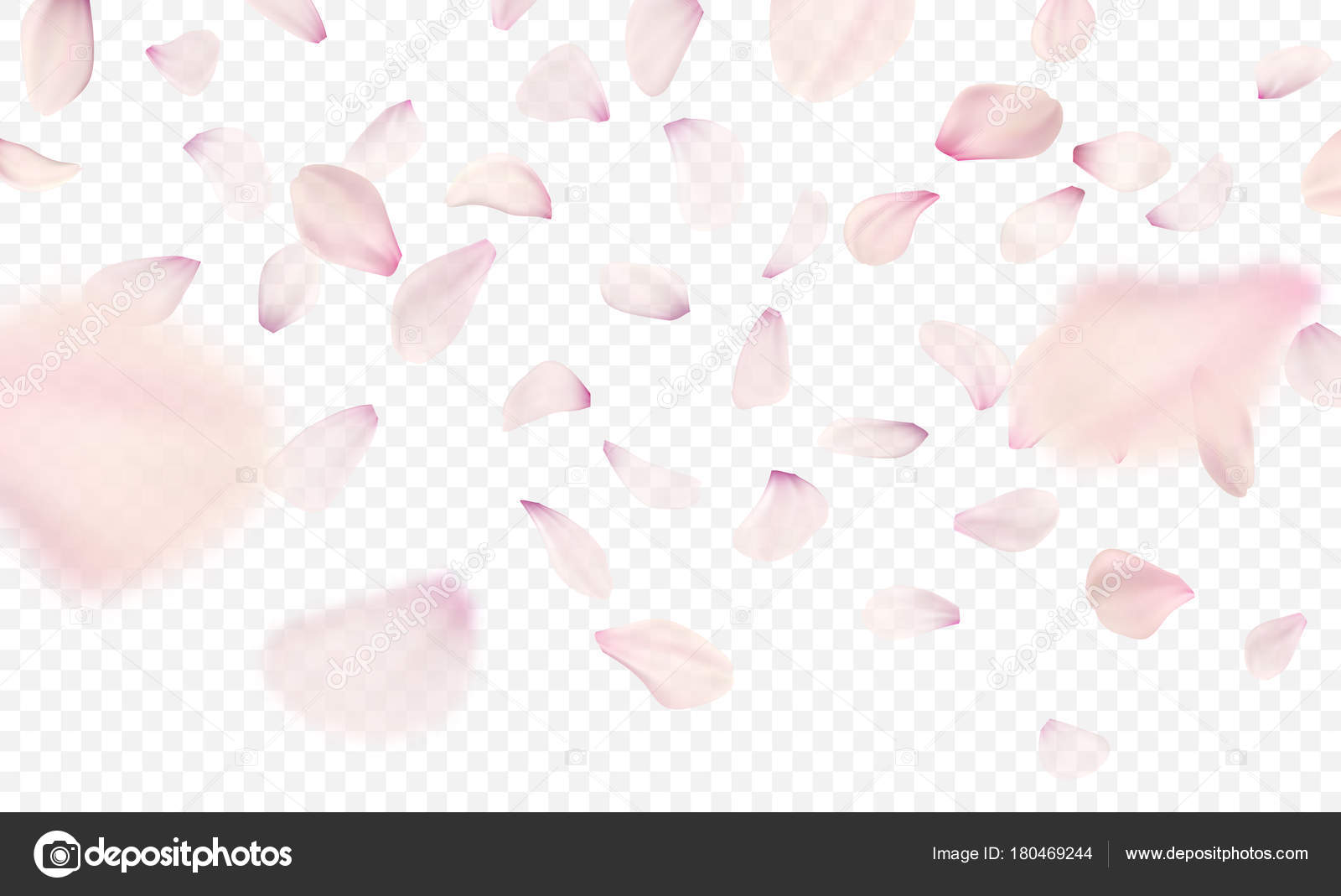 Pink sakura falling petals background. Vector illustration Stock Vector ...