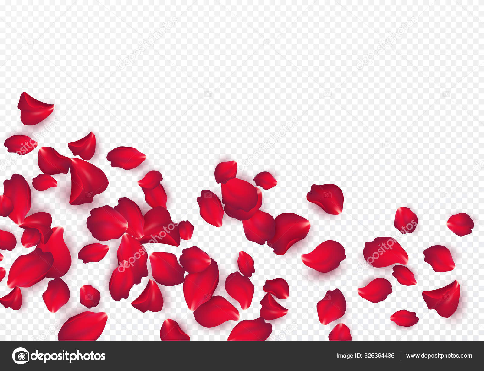 Flower Petals Falling Wallpaper
