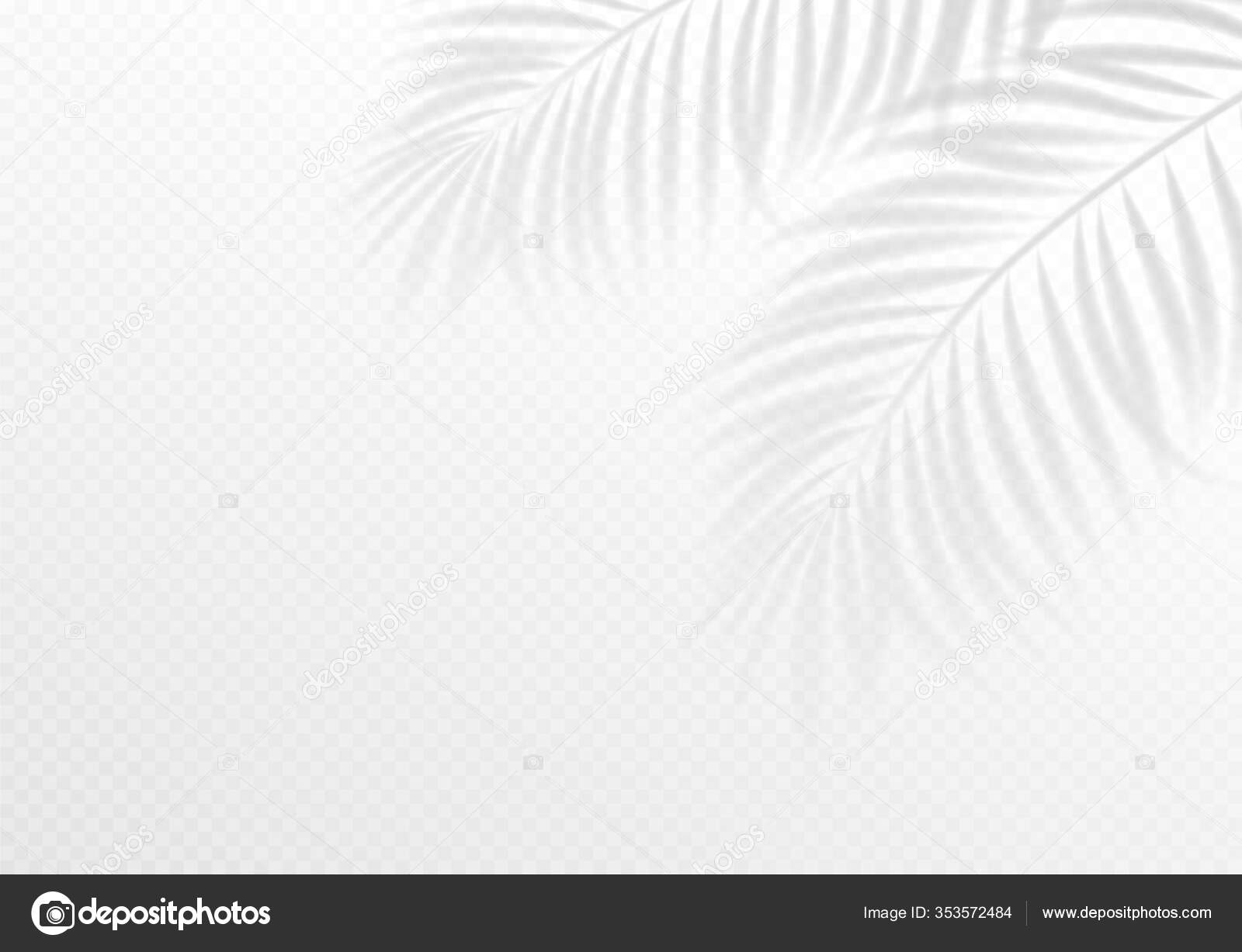 The transparent shadow overlay effect. Tropic leaf. Mockup with overlay ... The transparent shadow overlay effect. Tropic leaf. Mockup with overlay ...