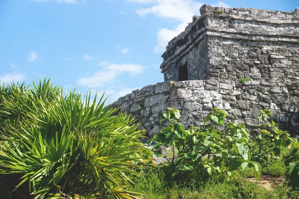 Caribbean ruins Stock Photos, Royalty Free Caribbean ruins Images ...