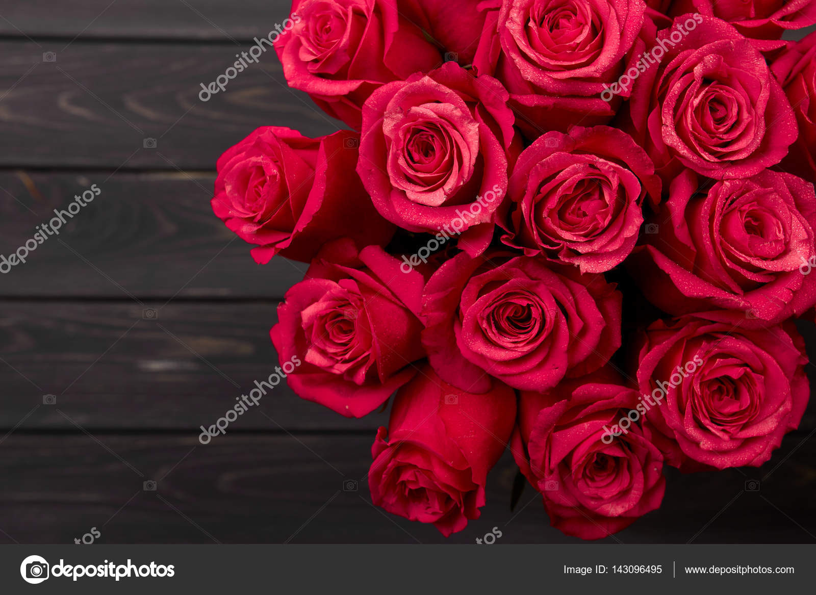 Rose Flower Red Colour Images | Best Flower Site