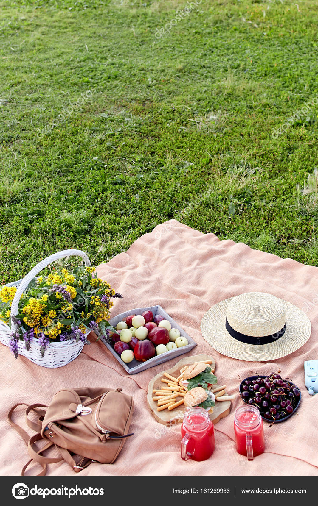 Picnic at the park on the grass — Stock Photo © glazunofoto@gmail.com ...