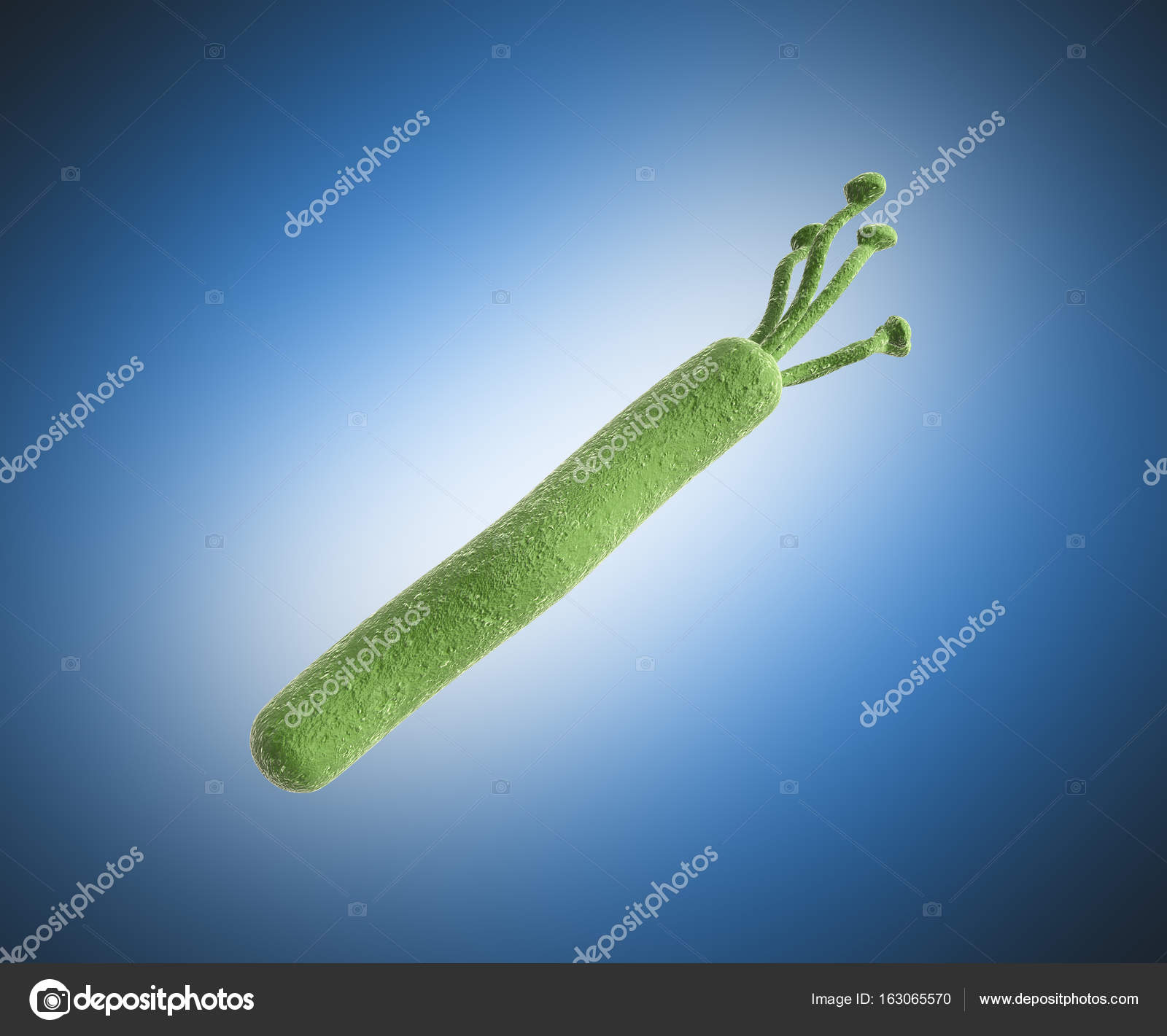 Helicobacter pylori 3d render image on blue Stock Photo by ©NosorogUA ...