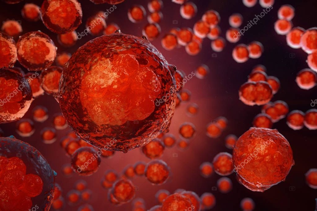 Ilustración 3D Embrión en fase inicial. Morula es un embrión en fase ...